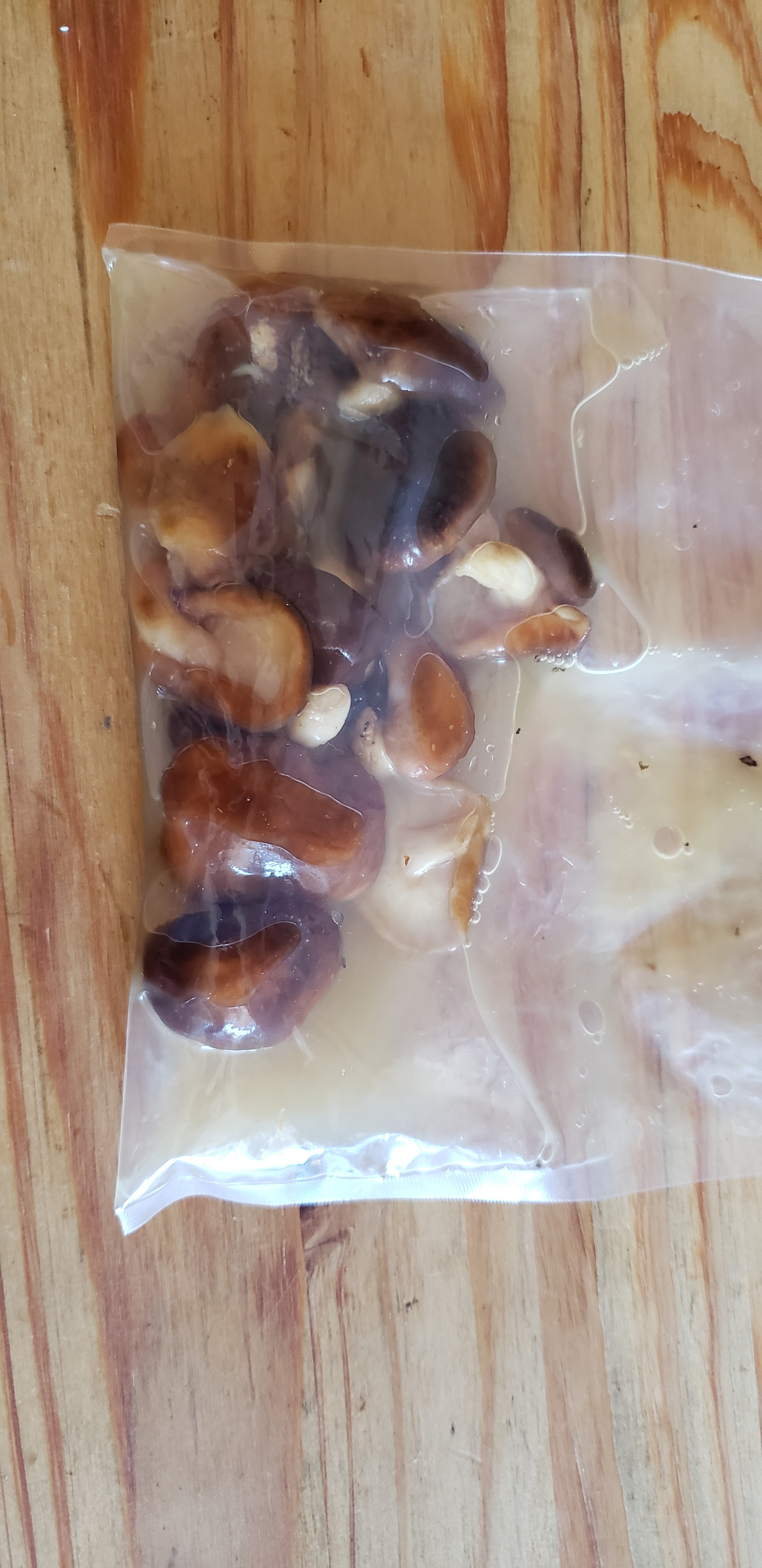 Can I ferment champignons? : r/fermentation